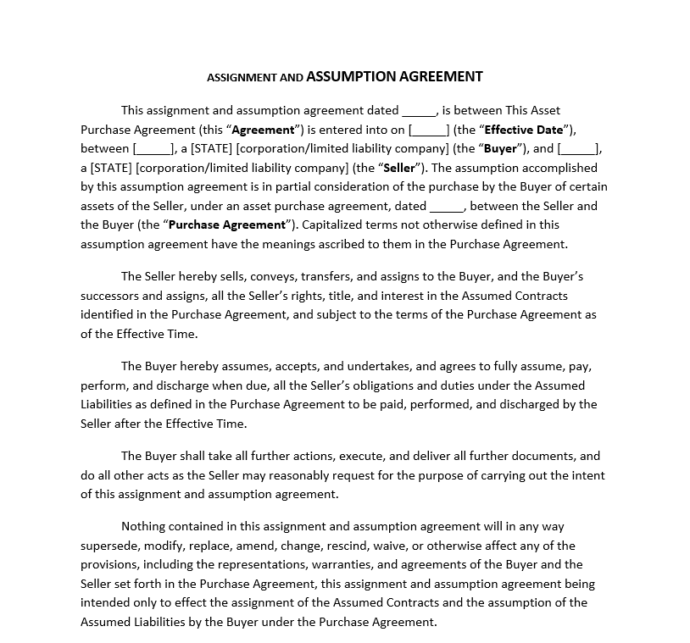 Assignment and Assumption Agreement Template