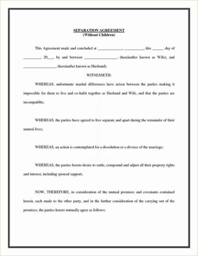 Common Law Separation Agreement Template