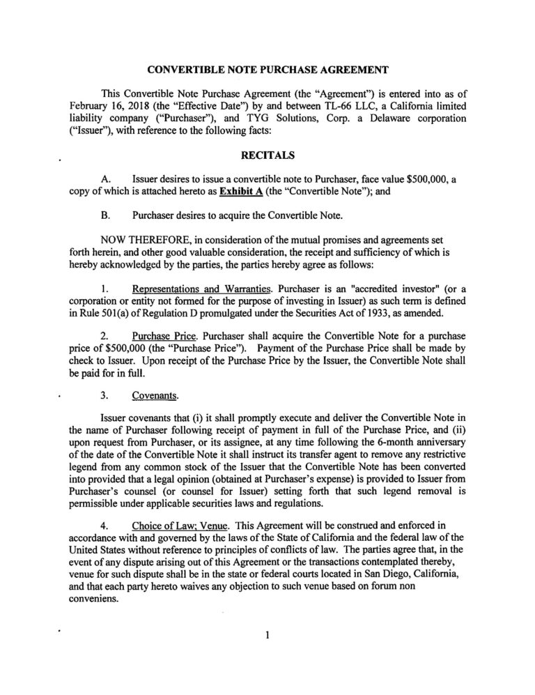 Convertible Note Purchase Agreement Template
