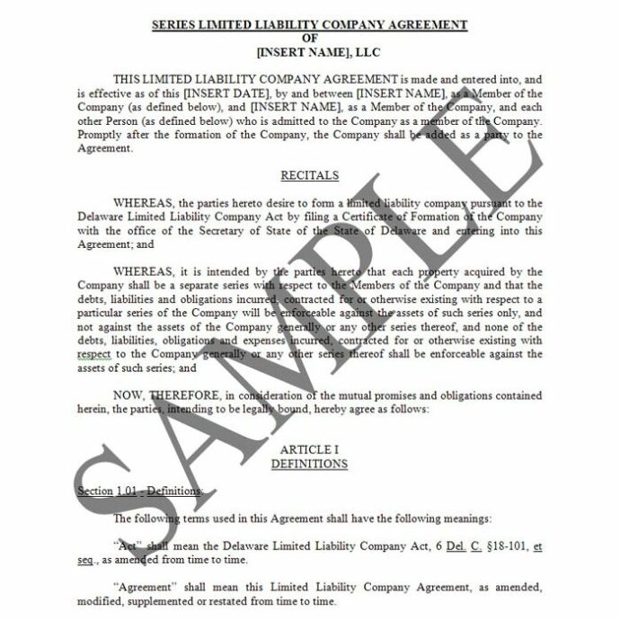 Series LLC Operating Agreement Template