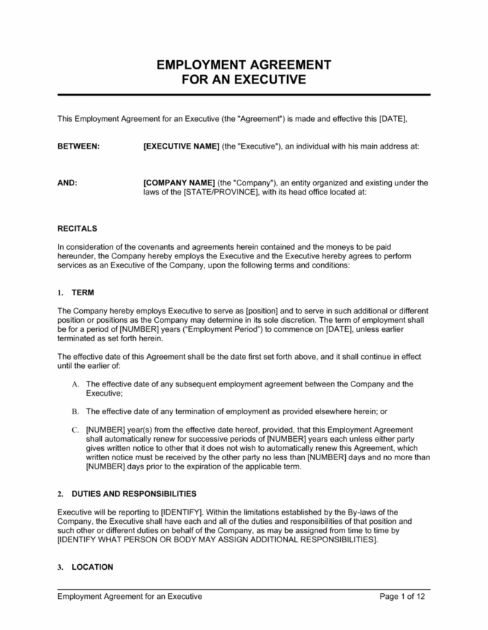 Startup CEO Employment Agreement Template