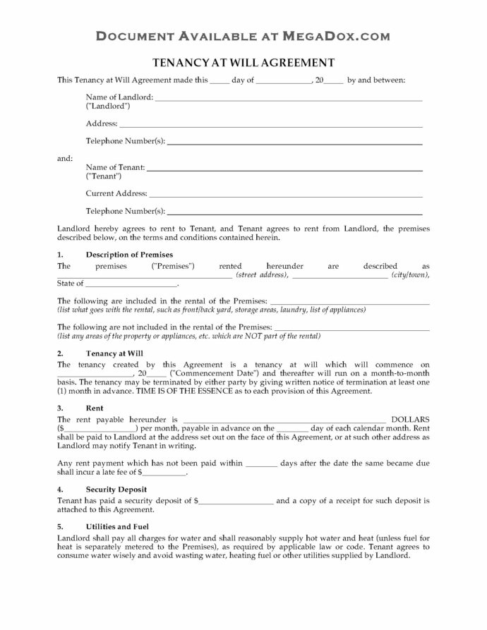Tenant at Will Agreement Template