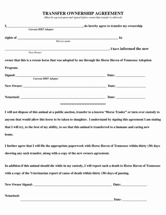 Transfer of Ownership Agreement Template